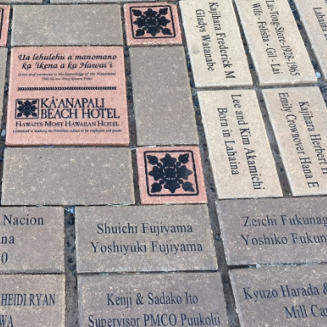 8 x 8 Inch Brick | Shop & Support